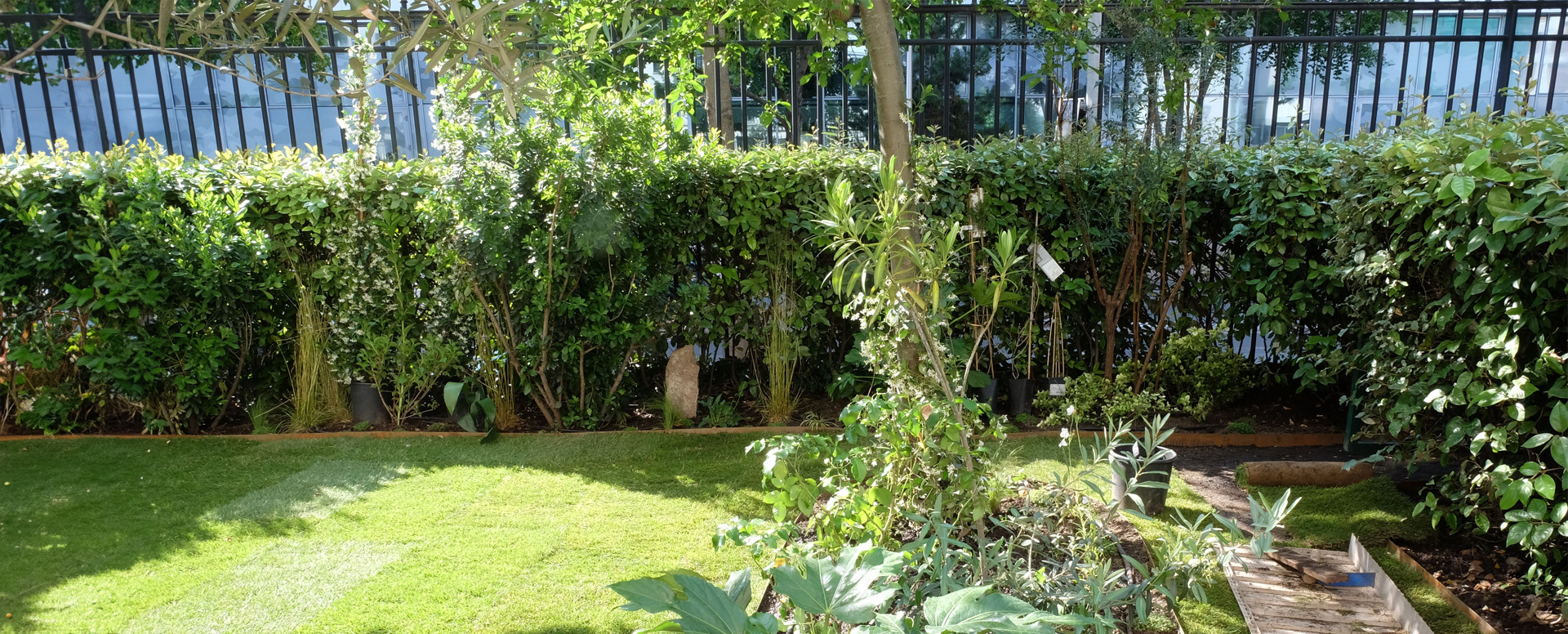 Oasis familial en cœur de ville - APIS FLORAE - Architecte Paysagiste ...